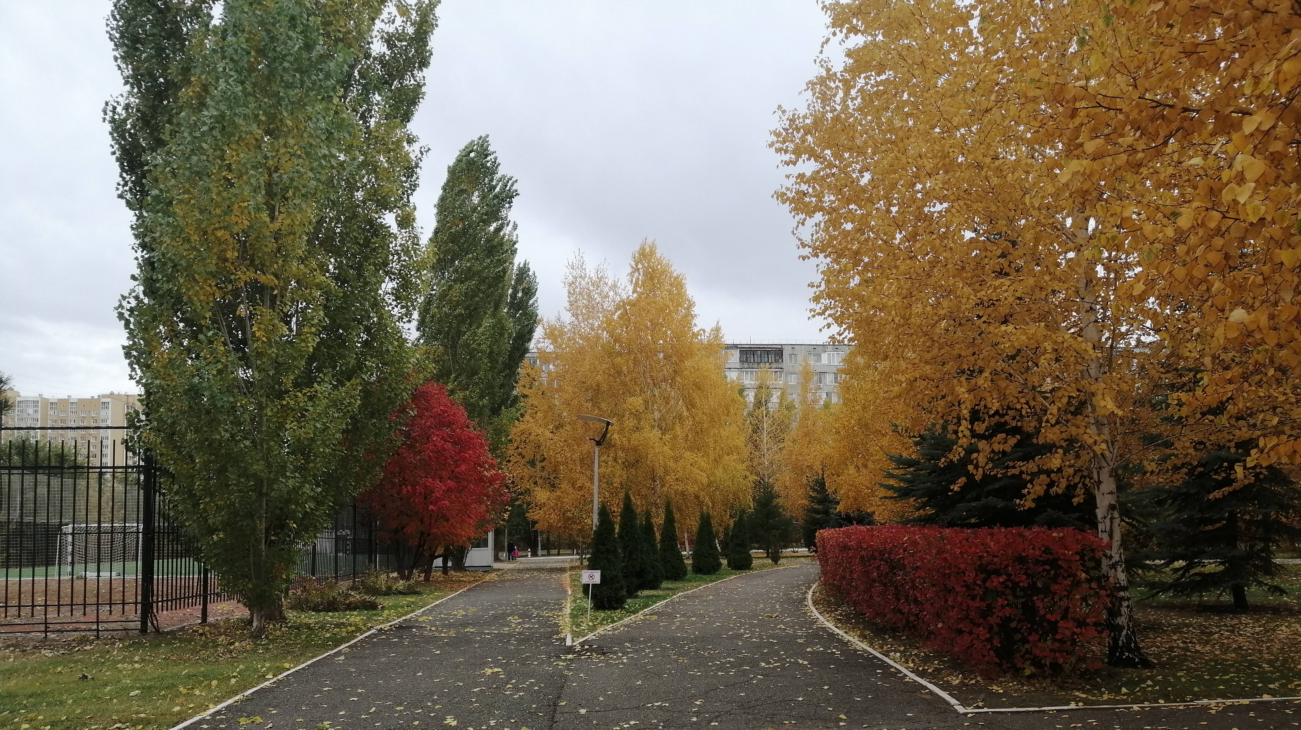 Красивая осень в моем городе Оренбурге