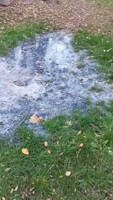 Затопило тропу сточными водами в парке революции