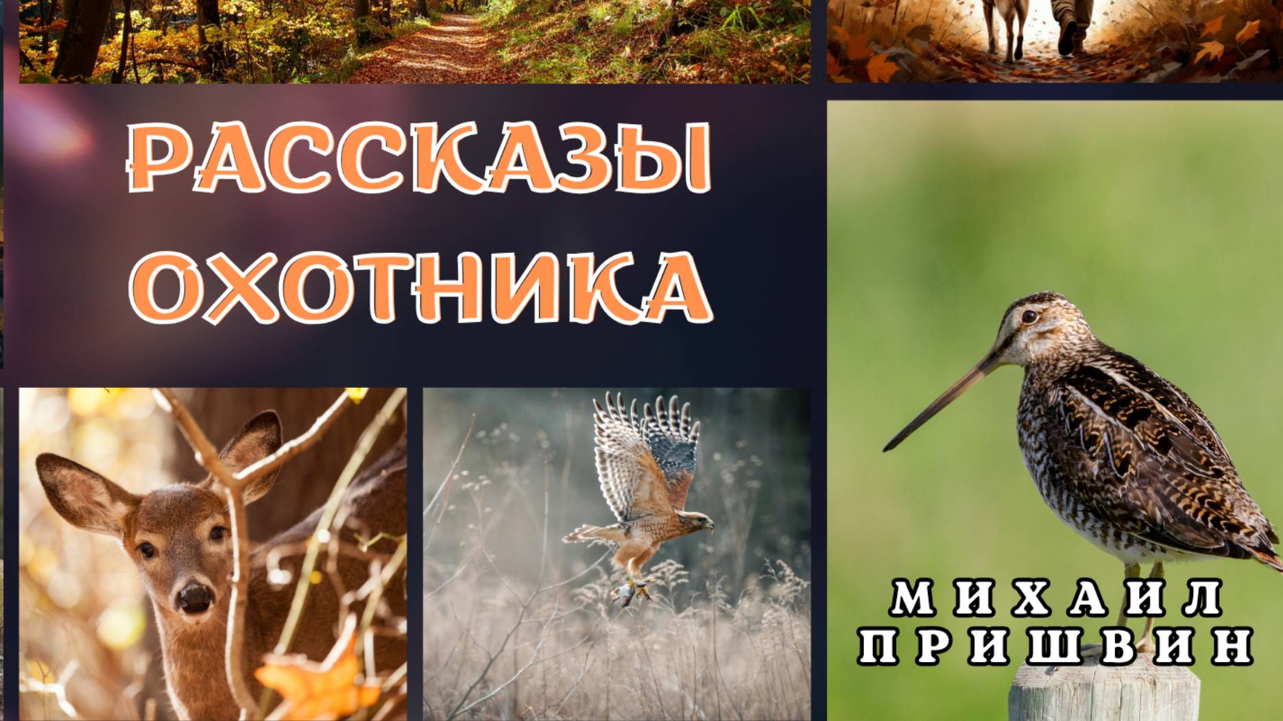 Михаил Пришвин РАССКАЗЫ ОХОТНИКА(2). Аудиокнига