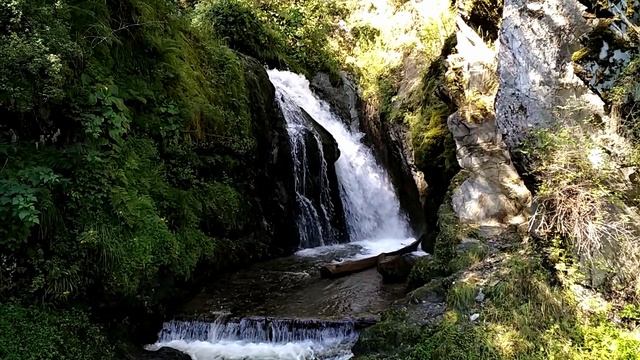 Телецкое озеро