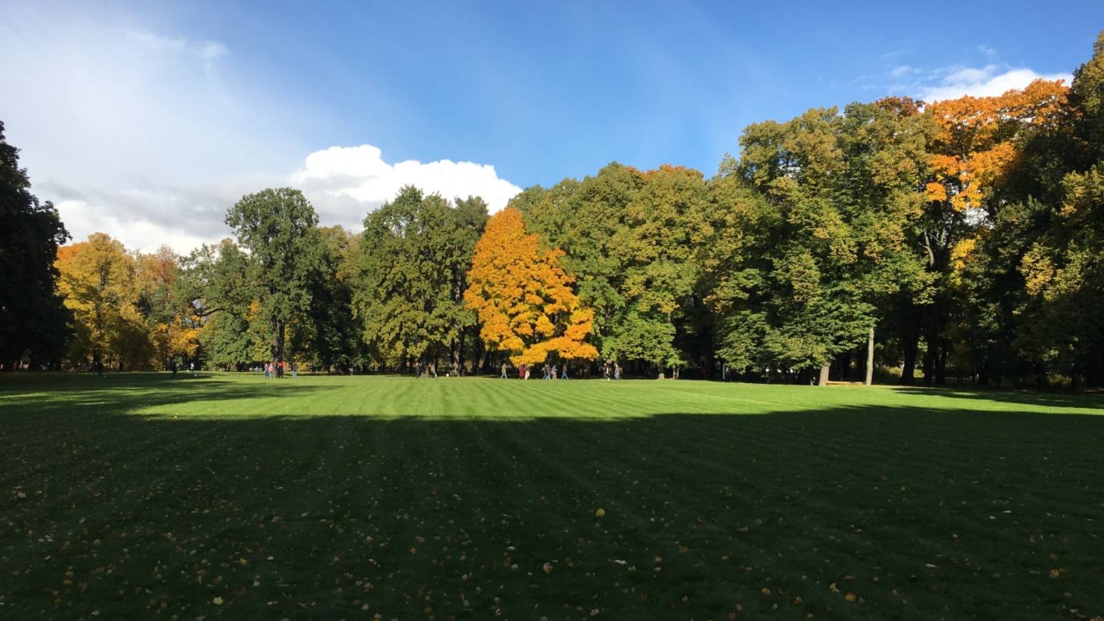 Новый феномен: «Болельщик не клуба, а всей Лиги»