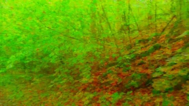 куаутлитеотлЬ - AutumntimelessnessmantraS