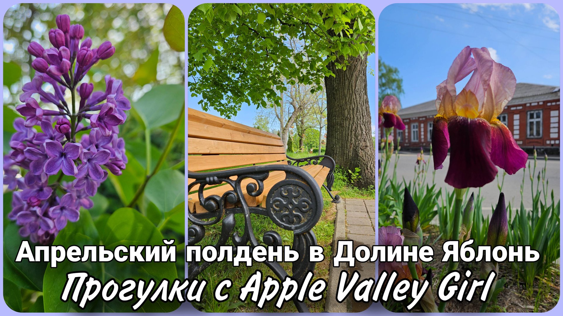 Прогулка в городском парке апрельским днём. Природные зарисовки с Apple Valley Girl. Долина Яблонь.