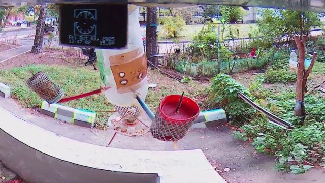 В генеральную прокуратуру РФ Нарушения ПДД и САНПИН