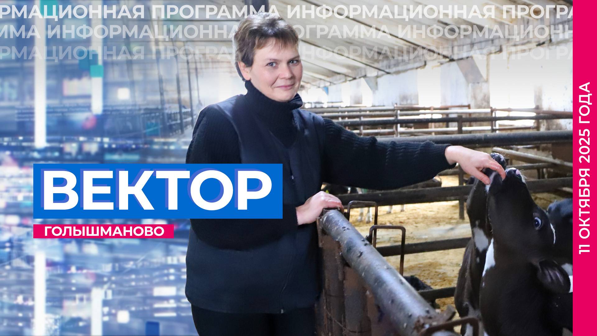 Информационная программа "Вектор". Выпуск от 11 октября 2025 года
