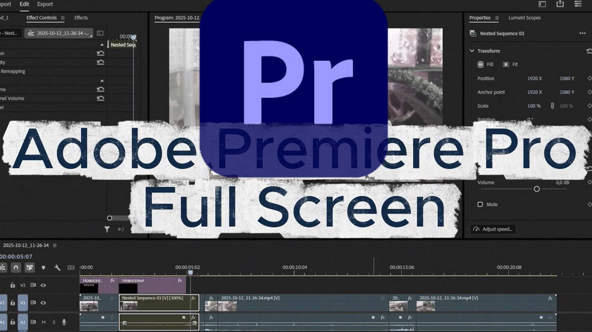 Adobe Premiere Pro полный экран Full Screen