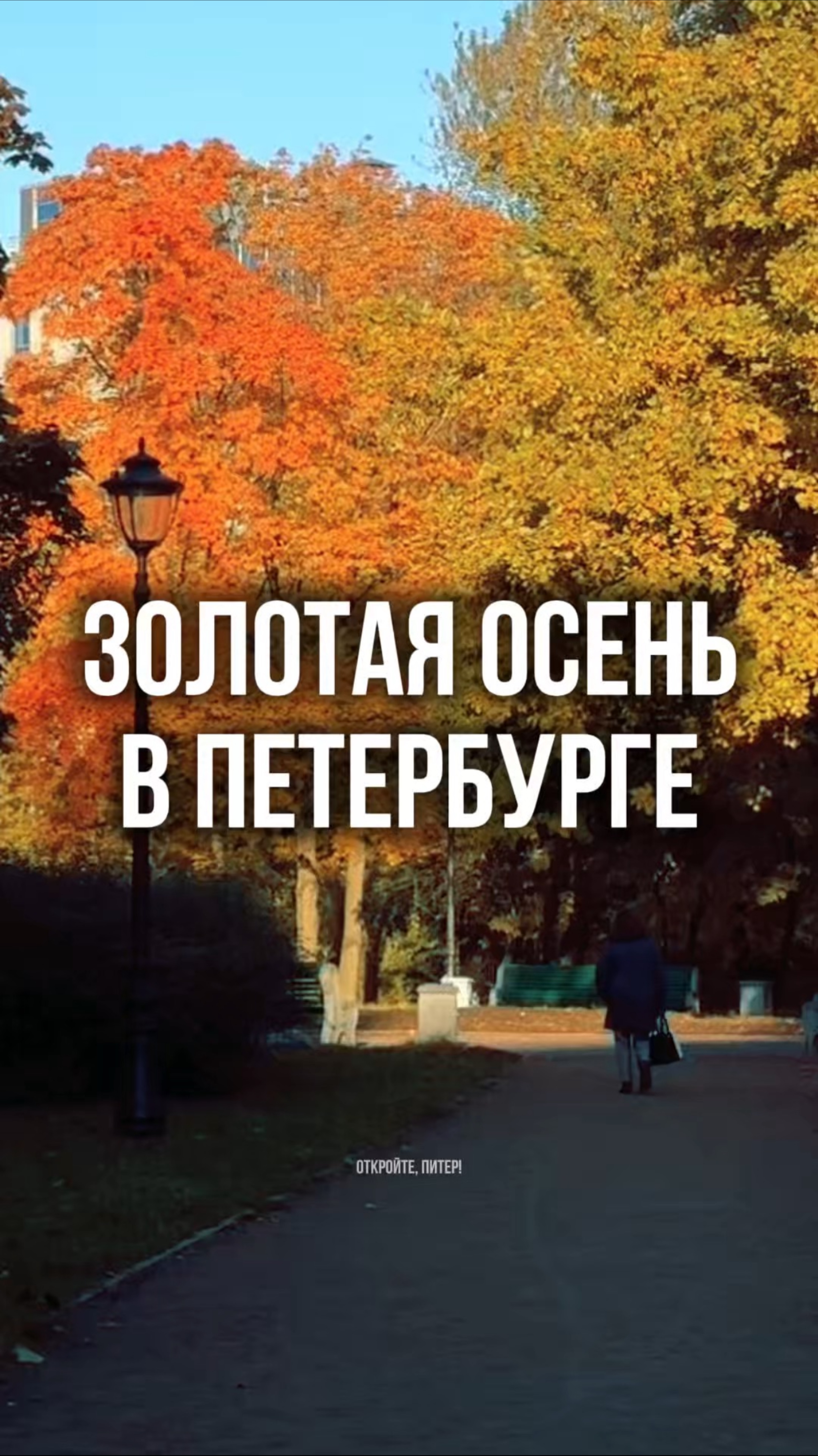 Золотая осень