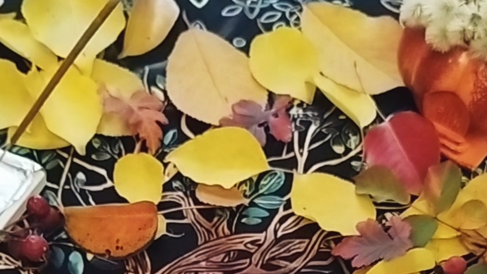 ЧАКРА СВАДХИСТАНА