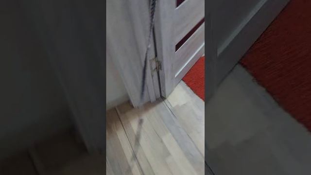 И.Н.К.Д. 6 (2 часть), Самый странный обджект