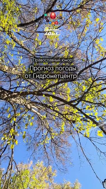 Самый верный прогноз погоды!