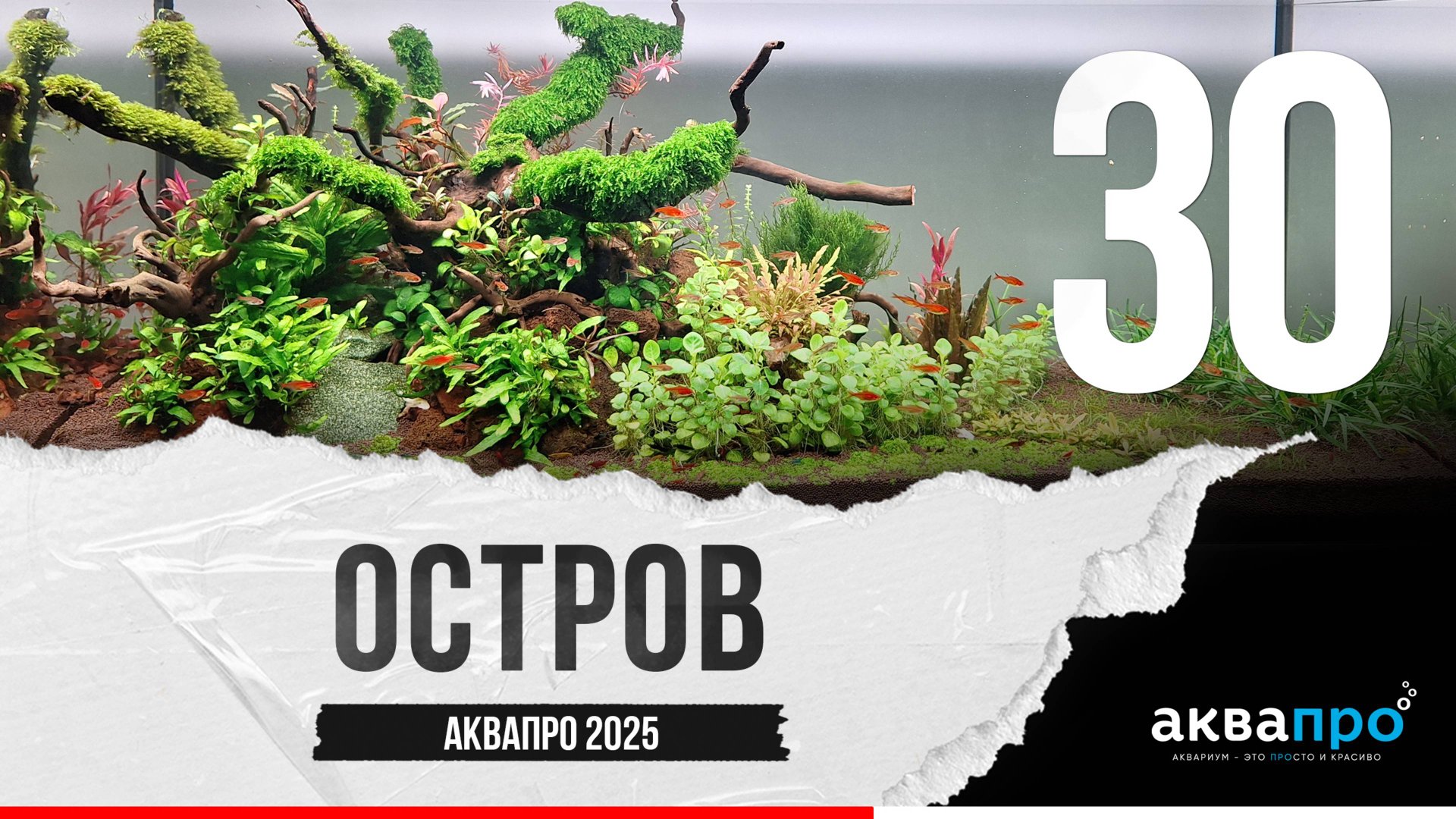 30. Остров #АкваПро