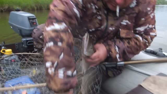 Открыли новый сезон достойным уловом!