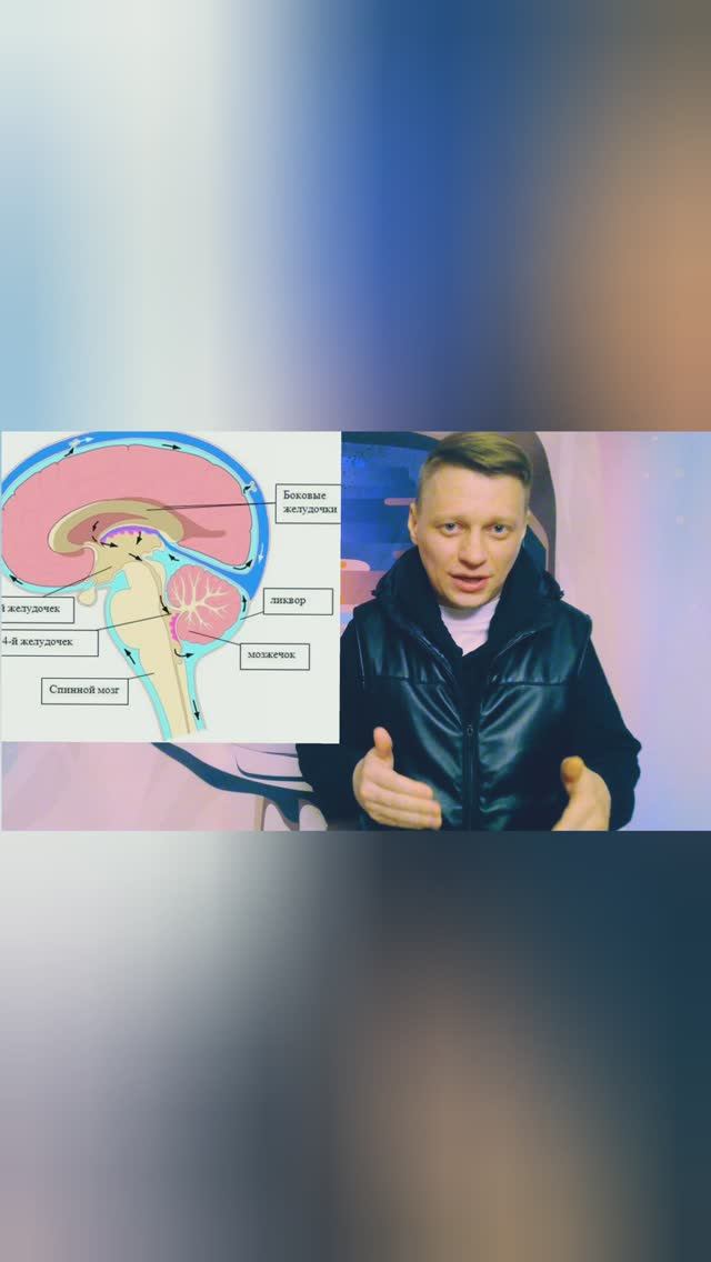 НЕРВНЫЕ КЛЕТКИ | 𝐍𝐄𝐑𝐕𝐄 𝐂𝐄𝐋𝐋𝐒