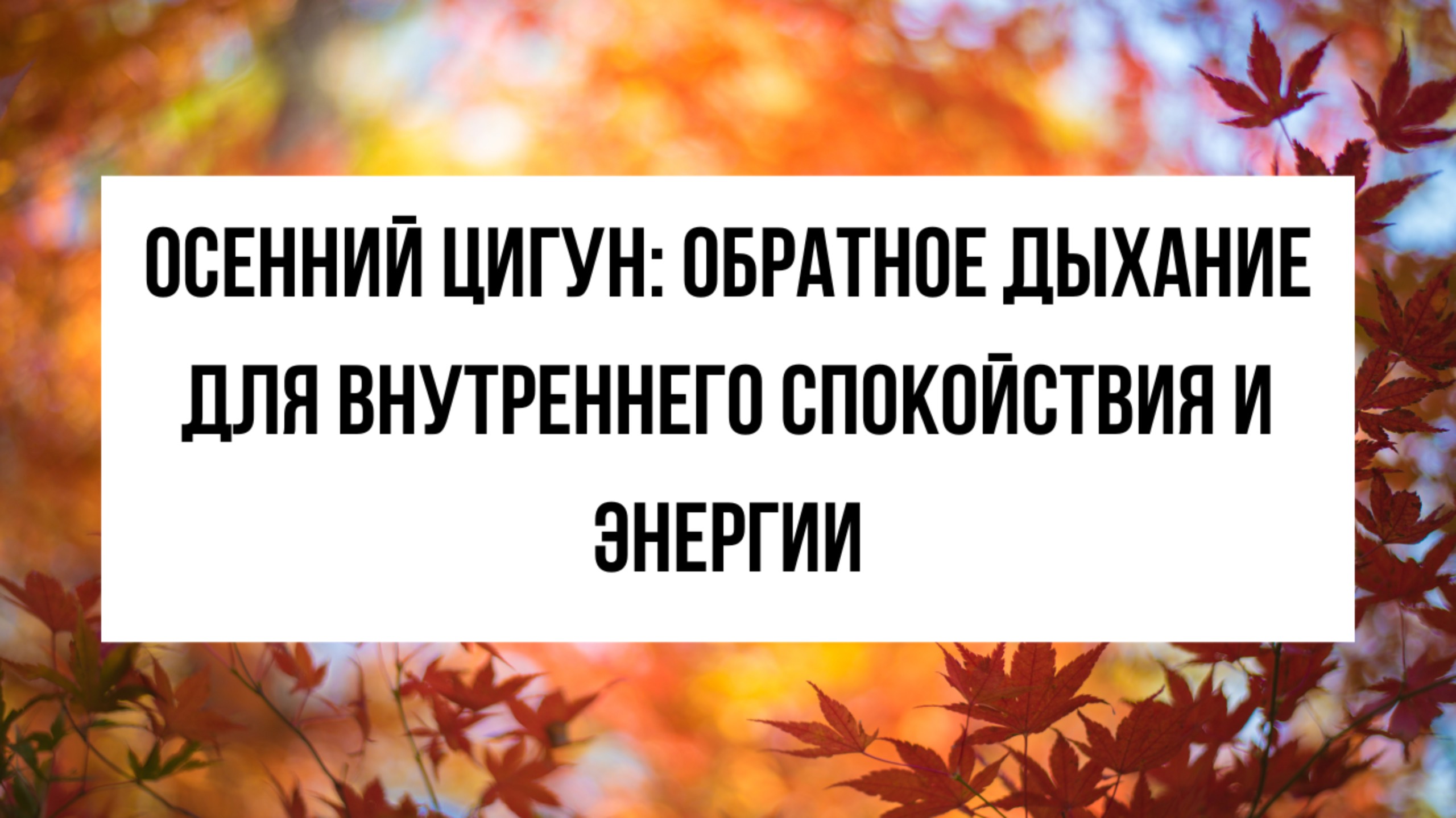 Цигун дыхание осенью: как восстановить силы и успокоить нервную систему