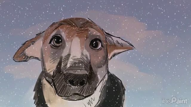 Мультфильм "Животные - герои! Невыдуманные истории", автор Дарина Махмутова