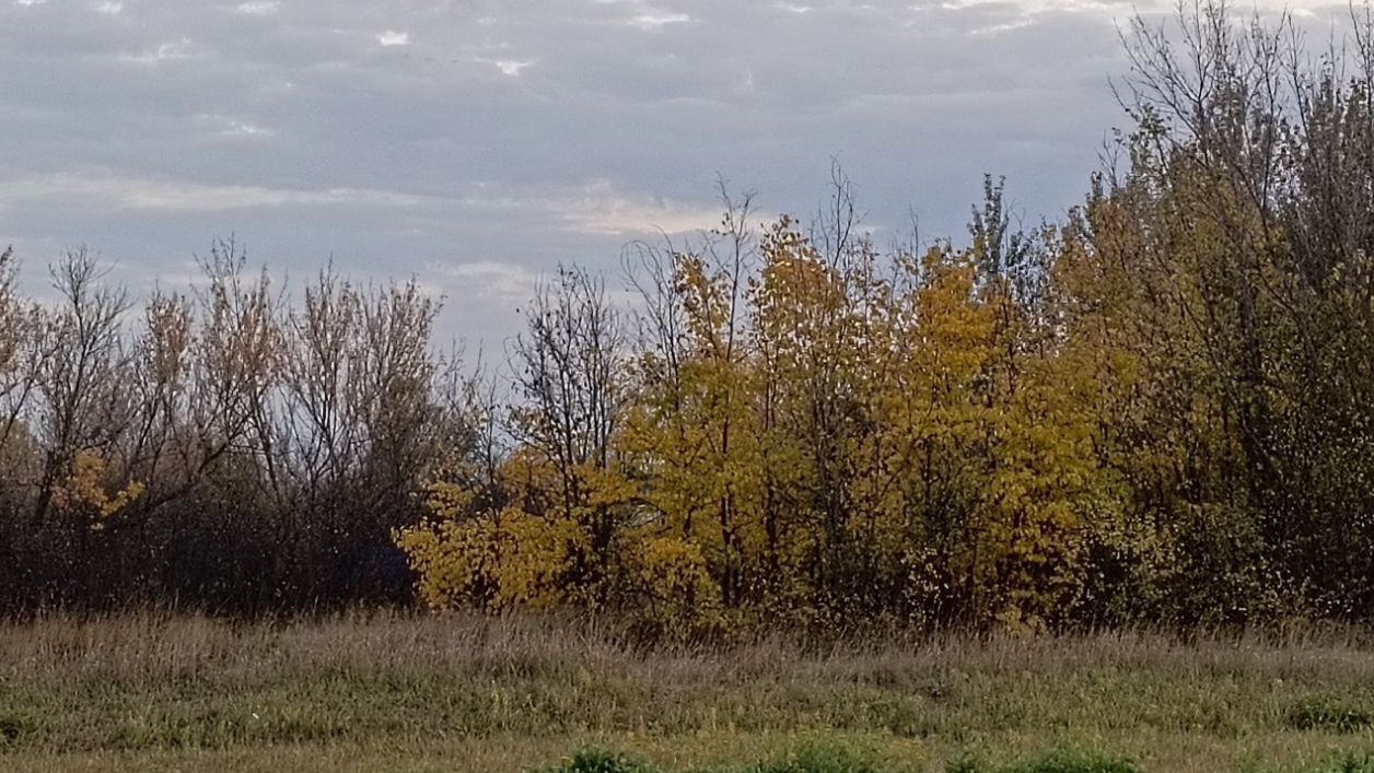 Волшебство осени. Прогулка в тишине природы.