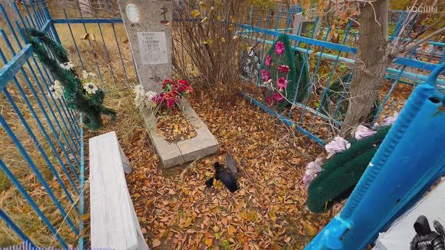 СЕМЕЙНАЯ МОГИЛА, КОТОРАЯ СЛОМАЕТ ВАС ВНУТРИ…