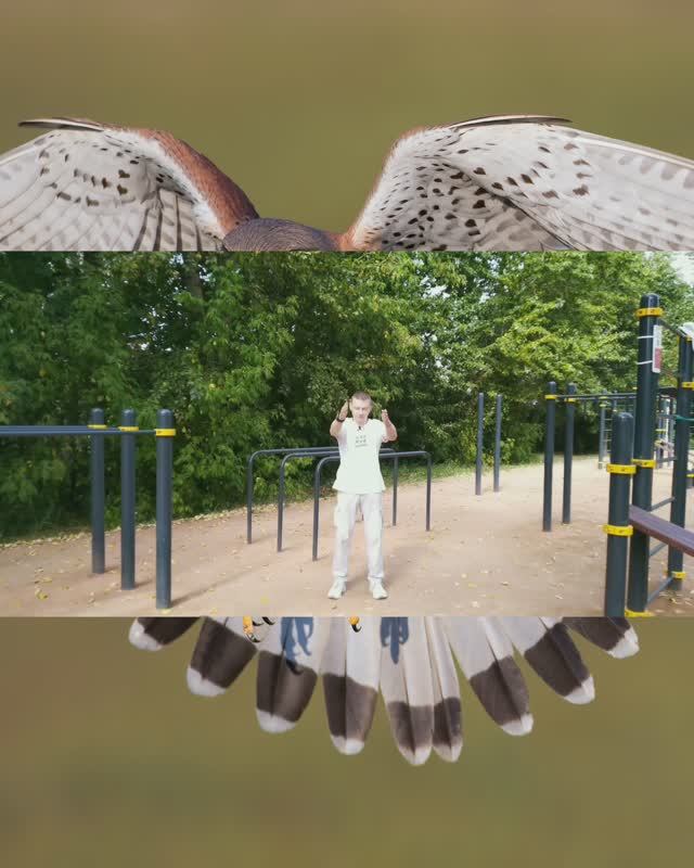 ДЫХАНИЕ СОКОЛА | 𝐓𝐇𝐄 𝐅𝐀𝐋𝐂𝐎𝐍'𝐒 𝐁𝐑𝐄𝐀𝐓𝐇