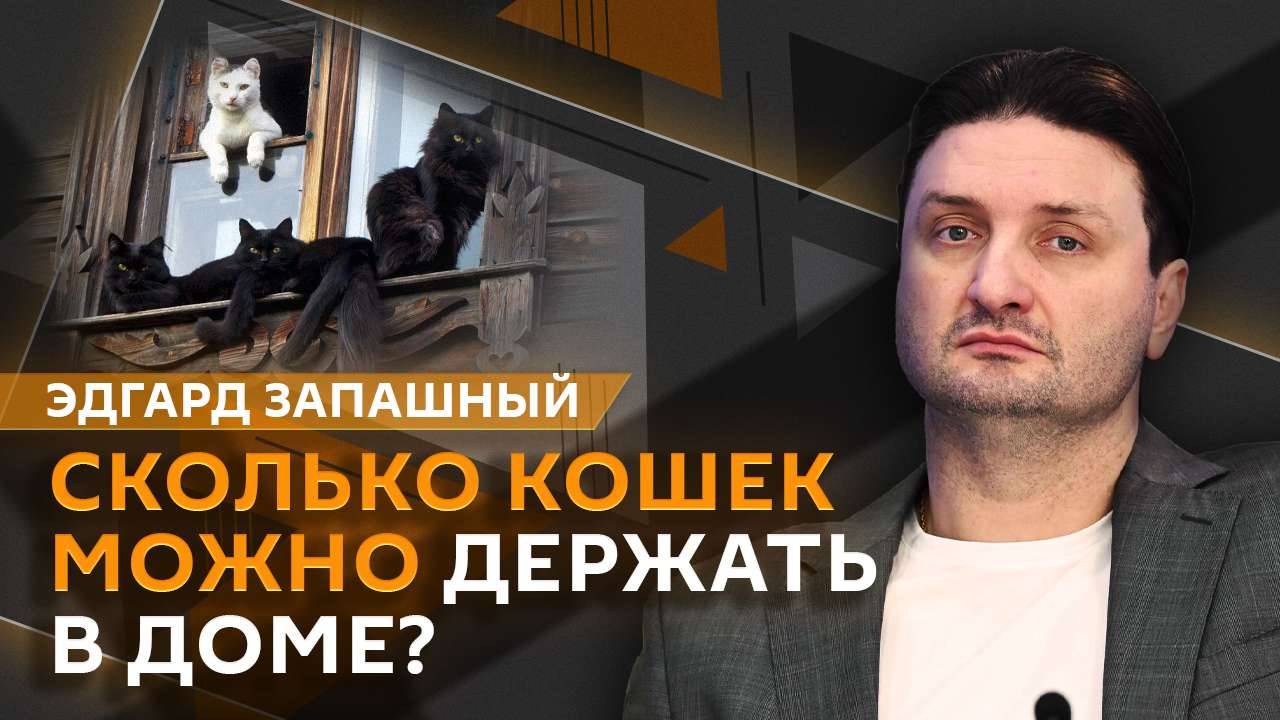 Эдгард Запашный и Нина Ватт. О чем предупреждают птицы и как выжить в тайге?