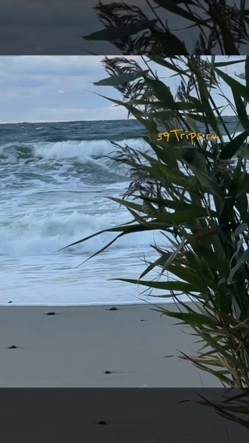 Sunset in the Baltic Sea . Travel with 39Trips.ru