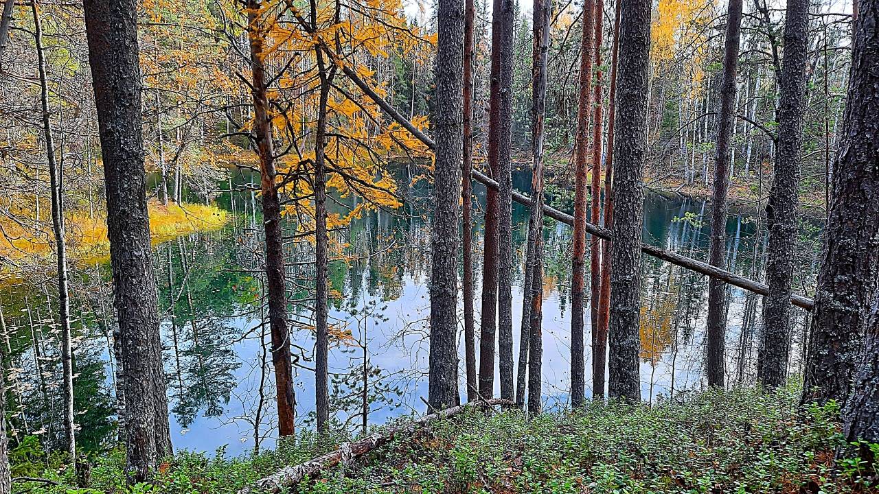 Параськины озера: Озеро Кауфмана. Карстовые озера Республики Коми.