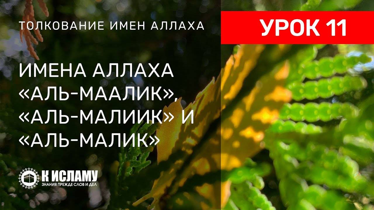 11) Имена Аллаха «аль-Ма́лик», «аль-Мали́к» и «аль-Малик» | Ринат Абу Мухаммад