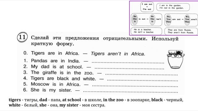 Звездный английский 3 класс Starlight Упражнение 11 страница 10