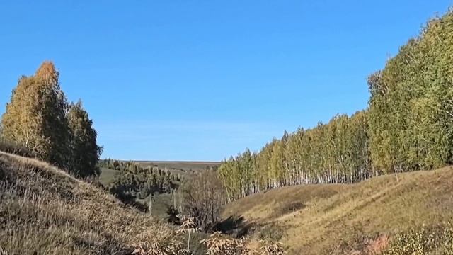 родники раньше были деревни,овраги.              2 октября 2025г.