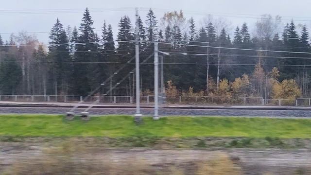 Высокоскоростная магистраль Санкт-Петербург-Москва активно строится