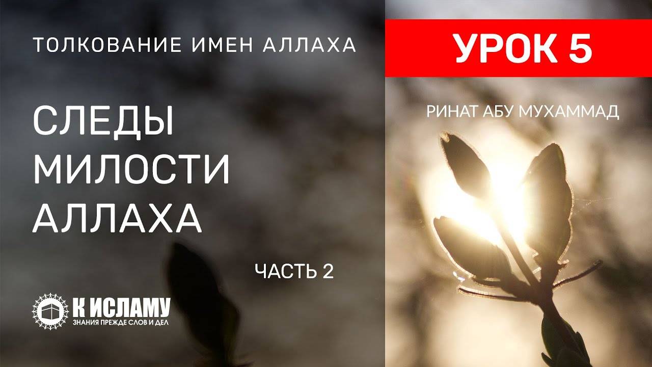 5) Следы милости Всевышнего Аллаха. Часть 2 | Ринат Абу Мухаммад