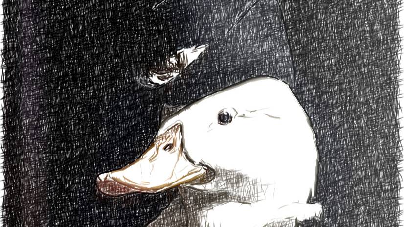 Гусь Лапчатый-панно барельеф