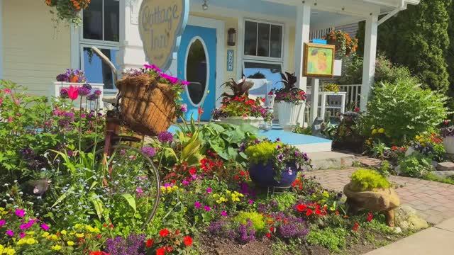 Расслабляющий Тур По Самому Красивому Саду С Цветущей Сиренью На Острове Макино Под Звуки Природы