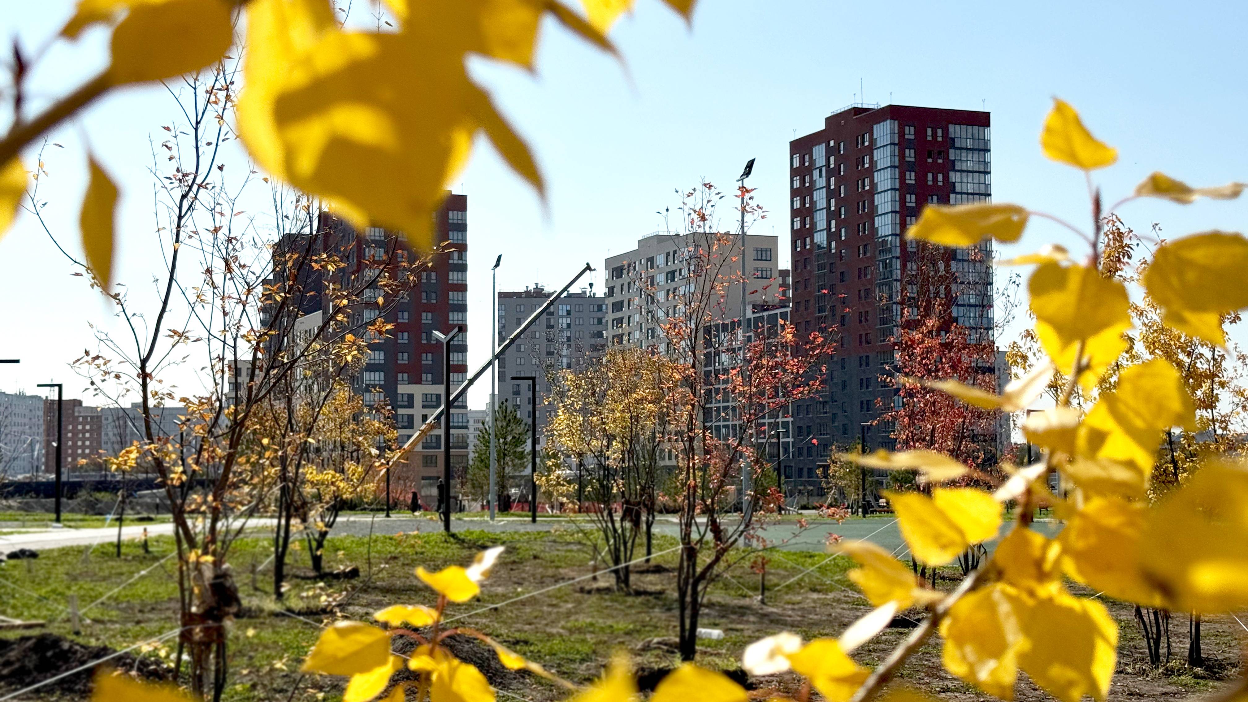 Тайгинский парк на высоте