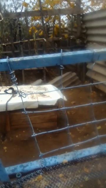 Вольер для Бима😉💪