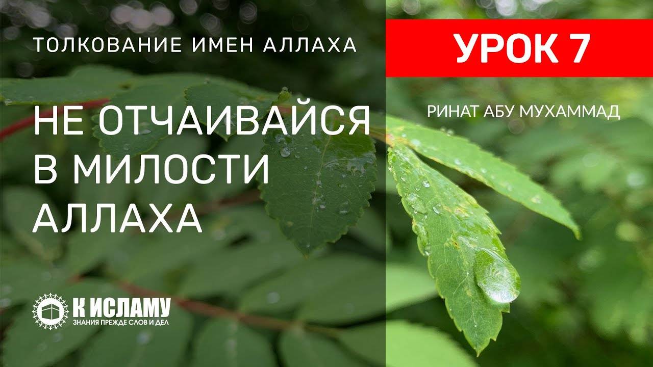 7) Не отчаивайтесь в милости Аллаха | Ринат Абу Мухаммад