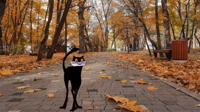 Песенка городского кота