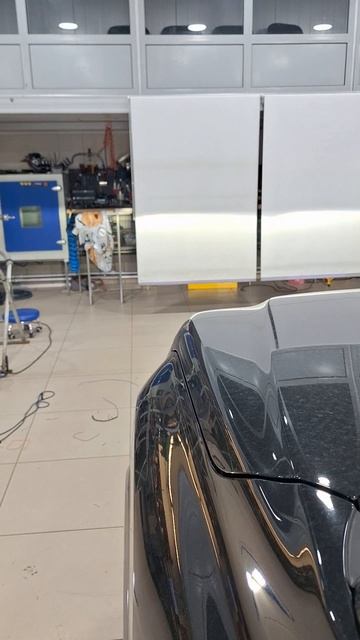 включение противотуманных фар Lexus LX