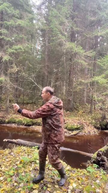 Цигун на рыбалке -  секрет заброса»🎣