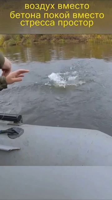 Щука на Самоловке +СИЛА СЛОВА