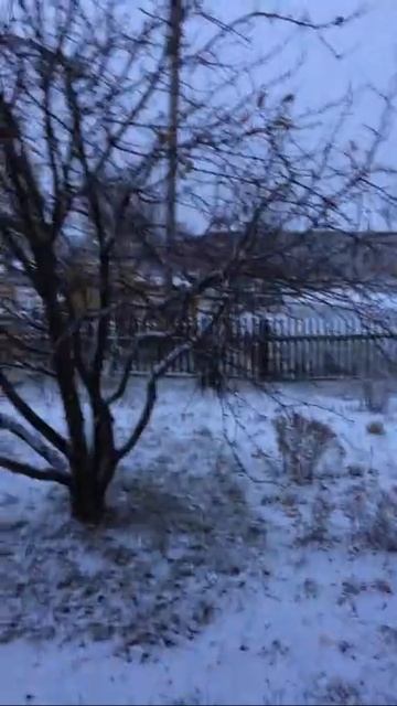 Первый снег в Порецком 28.10.2018 г.