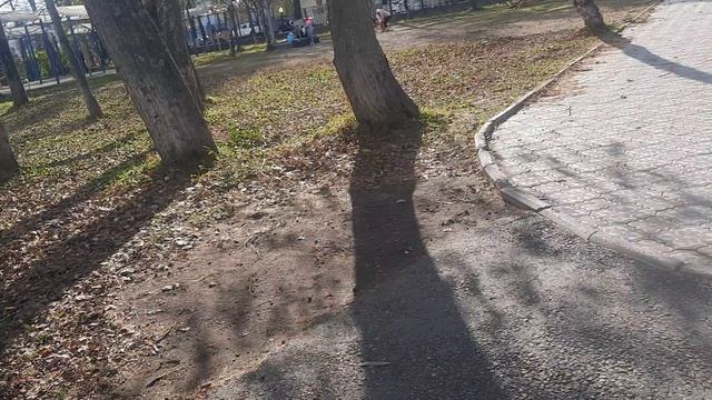 короче говоря наши выходные 1 часть