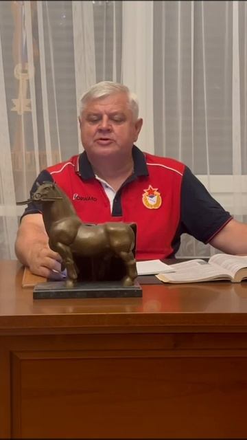 Поздравление ВВПОД "Юнармия" города-героя Москвы