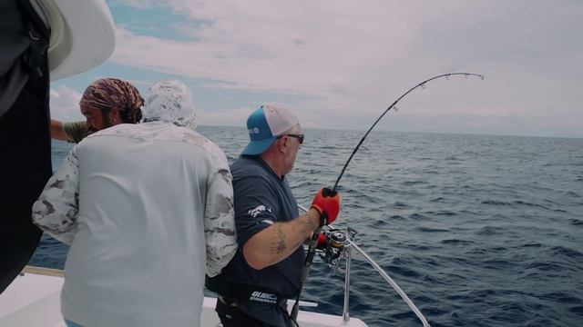 "НАТЯНУТЫЕ ЛЕСКИ"