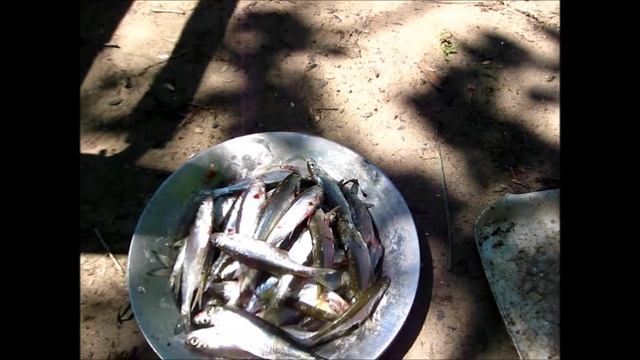 Дон. Возвращение в сказку.