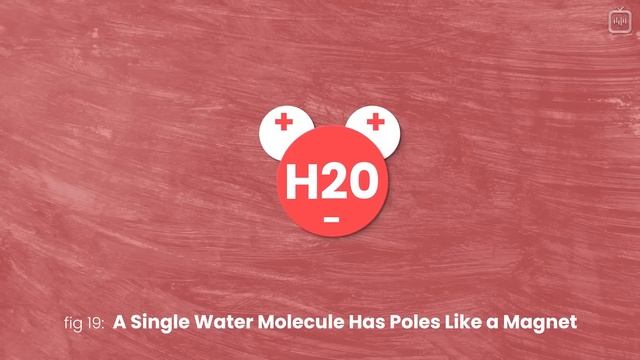 Биохимия фотосинтеза [Clockwork]