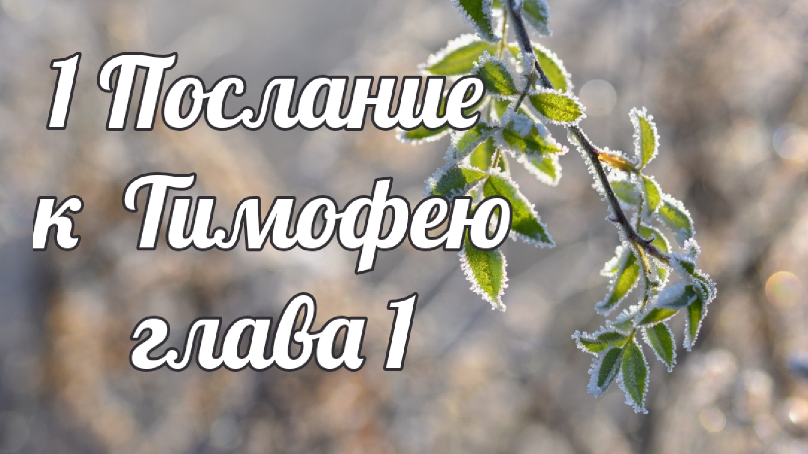 1 Послание к Тимофею глава 1