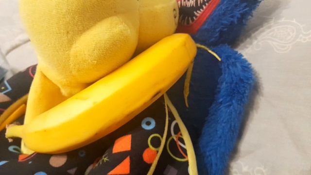 игорь шалун начало