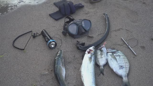 ХАКАН   лето. подводная охота. рыба на решетке.