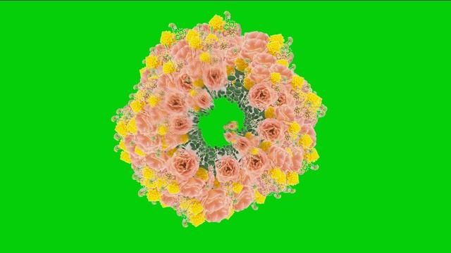 ФУТАЖ РОЗОВЫЕ РОЗЫ  НА ЗЕЛЕНОМ ФОНЕ / ХРОМАКЕЙ / ДЛЯ МОНТАЖА ВИДЕО