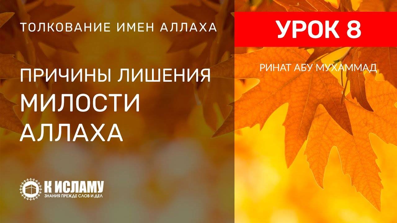 8) Причины лишения милости Аллаха | Ринат Абу Мухаммад